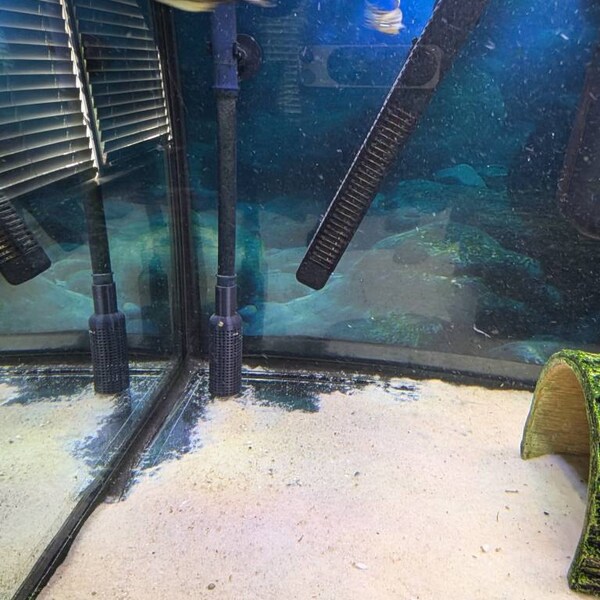 Penn Plax Cascade Canister Filter Intake Guard 500, 700, 1000, 1200 ...