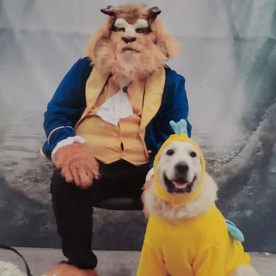 Flounder Little Mermaid, Flounder Dog Costume, Little Mermaid Dog ...