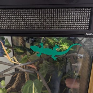 Customizable Name Skink Fire Banded Lizard Vinyl Decal READ - Etsy