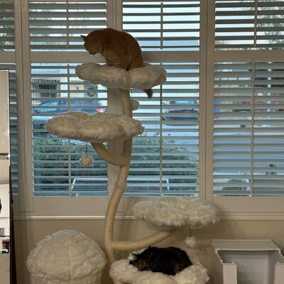 EDEN Wood Floral Cat Tree Tower, Wooden Cat Tower, Modern Cat Climbing ...