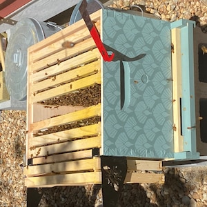 Apimaye 7 Frame Nuc Hive Stand. Made in the Us - Etsy