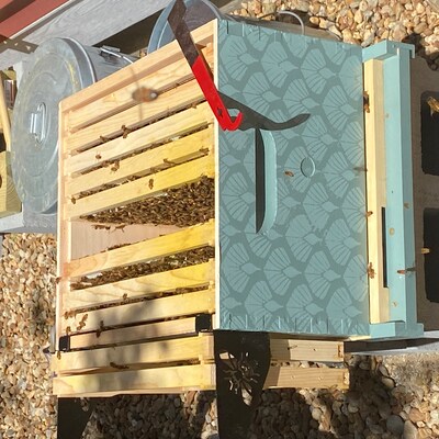 Beehive Stand Langstroth Beehive Stand Heavy Duty Beehive - Etsy