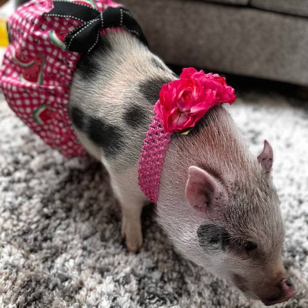 Skirt & Matching Bow Neck-band! Mini Pig Clothes, Pot Belly Pig Clothes ...