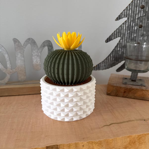 Fiddle Leaf Fig Tree Coaster Plant - Desk Toy or Coffee Table Piece - Etsy