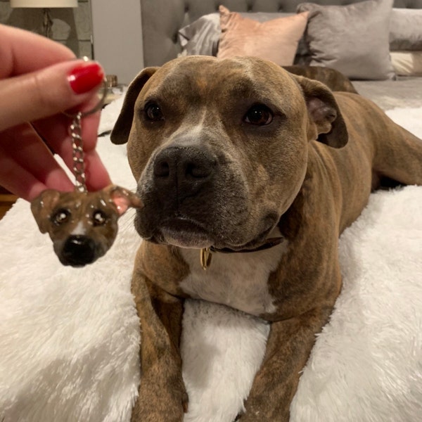 The Spay Neuter Coloring Book, Spay Oklahoma, Animal Rescue, Dog Cat ...