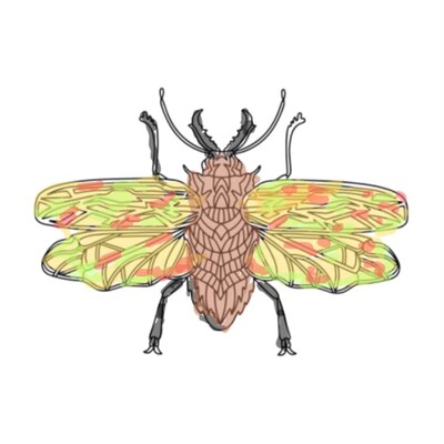 Mandala Insects Coloring Pages Adults & Teens, Instant Download, Simple ...