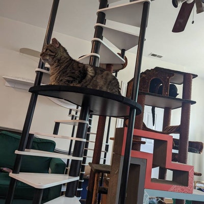 Cat Tree, 9 Step Spiral Cat Ladder, Cat Stairs With Cat Perch on Top ...