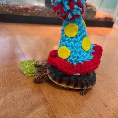 Birthday Hat Costume for Turtles/tortoises - Etsy