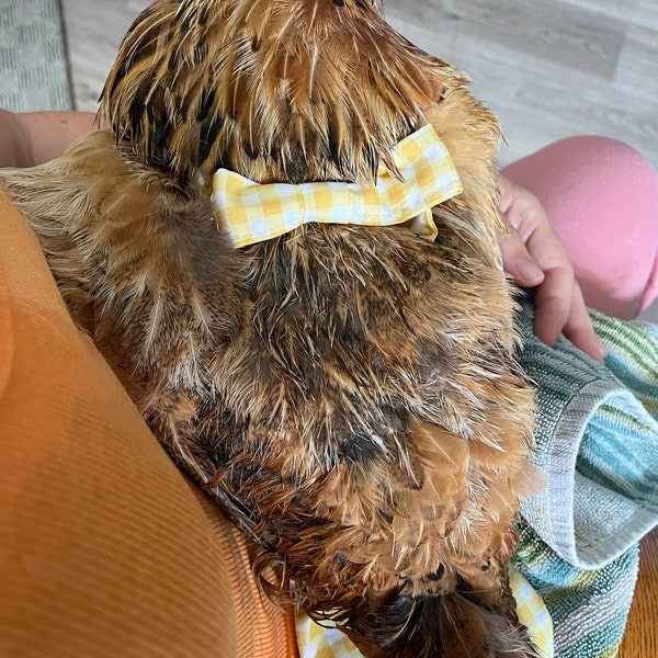 Chicken Diapers Large- Perfect Chicken Diaper for Large Hens or Medium ...