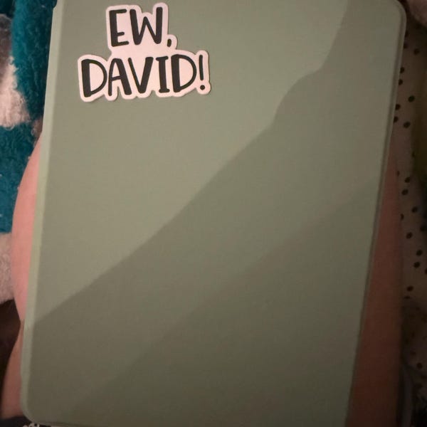HOLOGRAPHIC or Matte Vinyl Sticker, Decal, Waterproof, David Rose ...