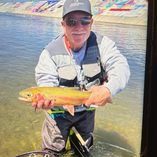 Mercury Black Zebra Midge Variant (6 Pack) - Etsy