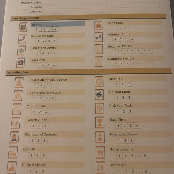 Printable DM Screen Inserts - Etsy