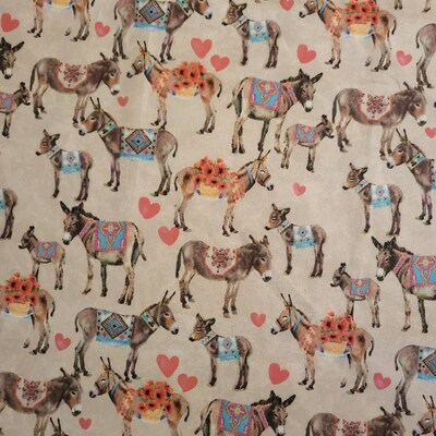 REMNANTS Donkey Love Donkeys With Colorful Blankets Croatia by the Sea ...