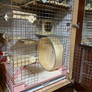 16 New Wheel Conception by Rodents Home. Aluminium Hoop Installed ...