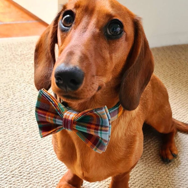 Custom Tartan Personalized Dog Collar, Matching Dog Bowtie, Dog Leash ...