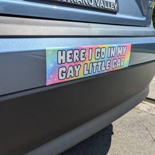 I Hate My Ex Wife Bumper Sticker, Funny Bumper Sticker, Silly Genz Z ...