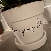 Love Grows Here Plant Pot | Plant Lover Gift | Succulent Pot Indoor ...