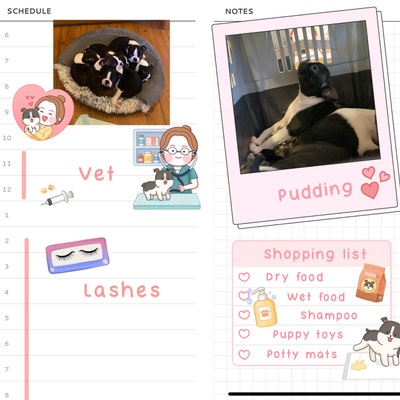 Cute Motivational Quotes Stickers for Digital Planner Positive ...