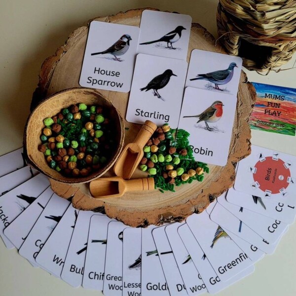 Sensory Tools Set With Sensory Base. Sensory Play. Messy Play. Tuff ...