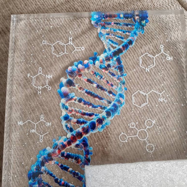 Personalized DNA Custom Shape Acrylic Blocks, Biology Science Gift for ...