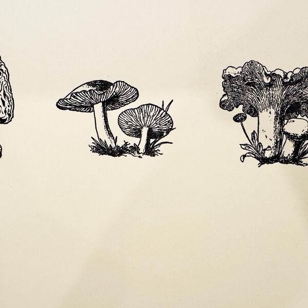 Anatomy Rubber Stamps//skeleton Rubber Stamp//bones Rubber Stamp Set ...