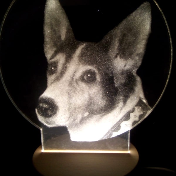 Custom LED Dog Lamp, Personalized 3D Pet Photo Light, Engraved Cat ...