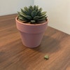 Push Pin Succulent | House Plant Push Pin Holder | Office Decor | Home ...