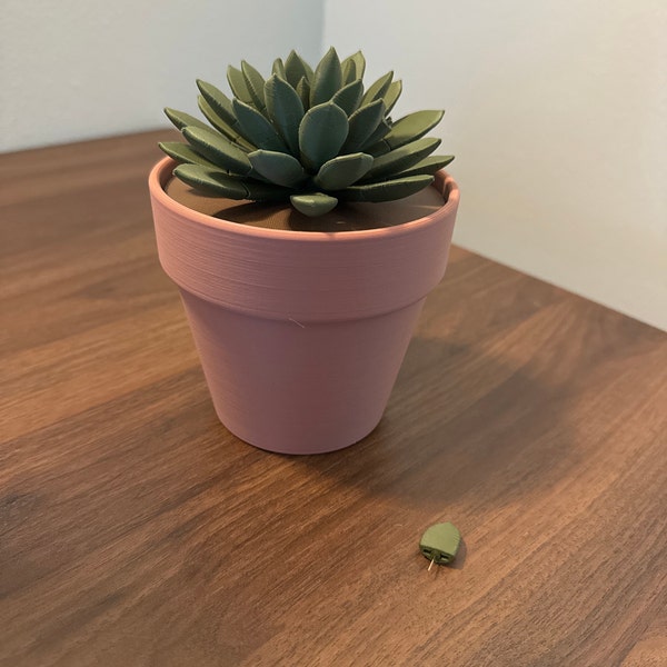 Push Pin Succulent | House Plant Push Pin Holder | Office Decor | Home ...
