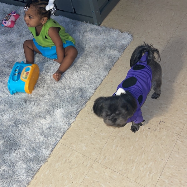 Dog Pig Costume, Pua From Moana Costume for Pets, Pig Costume for Dogs ...