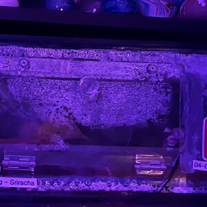 EDTA Lavender Blood Tube Sticker Phlebotomy Sticker - Etsy