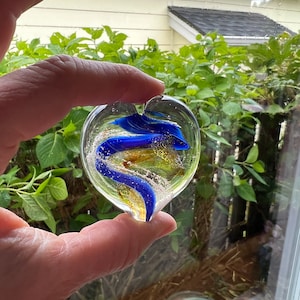 Memorial Glass Sea Shell Sculpture Cremation Ashes Pet - Etsy