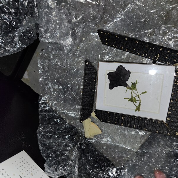 Running With Bonnie & Clyde, the Ten Fast Years of Ralph Fults by John ...