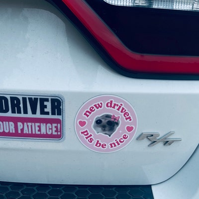 This is Who You're Honking at Cat Meme Car Bumper Sticker Funny Cute ...