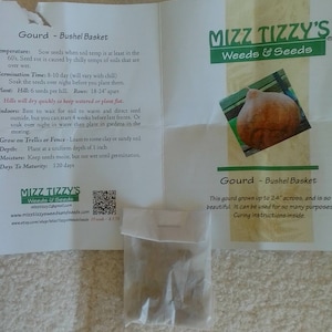 Cherokee, North Georgia Candy Roaster Squash . Cucurbita Maxima - Etsy