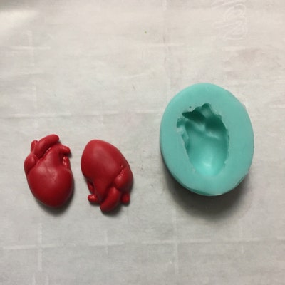 Human Heart Plastic Mold or Silicone Mold, Resin Mold, Heart Mold, Clay ...