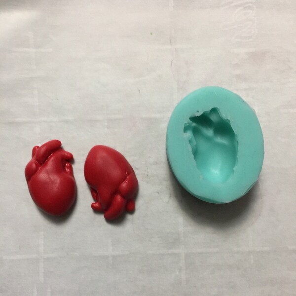 Human Heart Plastic Mold or Silicone Mold, Resin Mold, Heart Mold, Clay ...