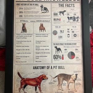 Chess Knowledge Poster the Rules of Chess History of Chess - Etsy