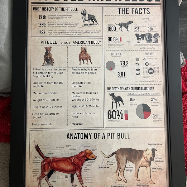 Pitbull Knowledge Poster, Pitbull, Pitbull Wall Art, Pitbull Decor, Dog ...