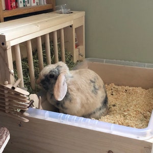 Rabbit Hay Feeder 3 in 1 Hay & Food Bowls With Litter Tray | Etsy