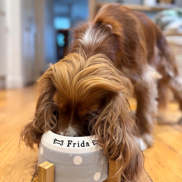 Personalised Spaniel Bowl | Long Eared Dog Bowl | Spaniel Food Bowl ...