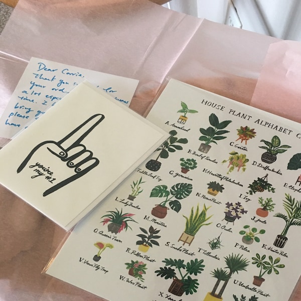 House Plant Alphabet Chart Art Print - Etsy
