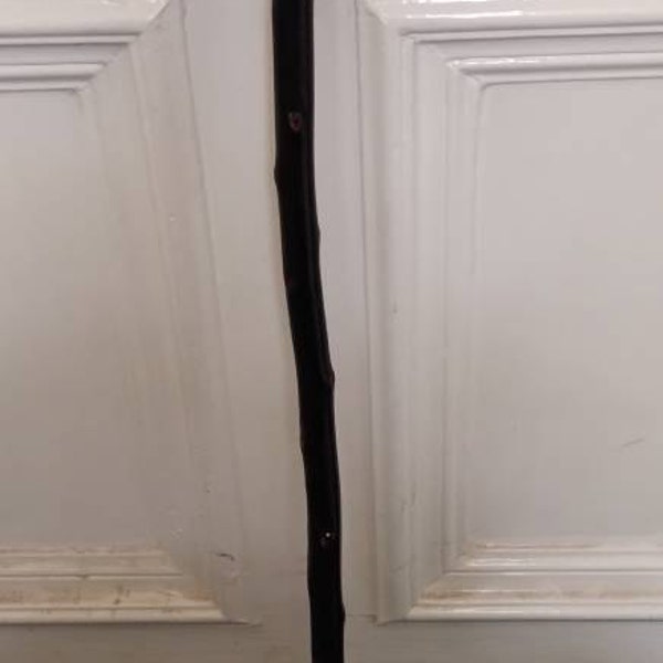 A Stout Irish Blackthorn Walking Stick With 3 Coats of Tung Oil ...