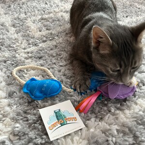 Cat Toys Bird Cat Toy With Strings Ribbons Catnip and - Etsy Canada