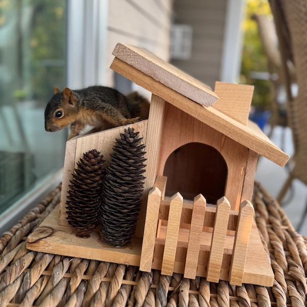 Squirrel House With Predator Guard - Etsy