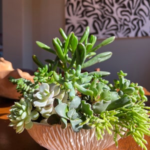 Medium Geode Bowl Snowflake White Ceramic Bowl, Hostess Gift, Gift for ...