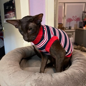 Kotomoda Shower Caps for Sphynx Cats and Small Pets 20pcs in a Tin Box ...