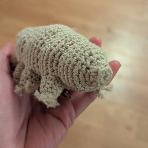 Tardigrade Amigurumi Crochet Pattern - PDF - English - Etsy