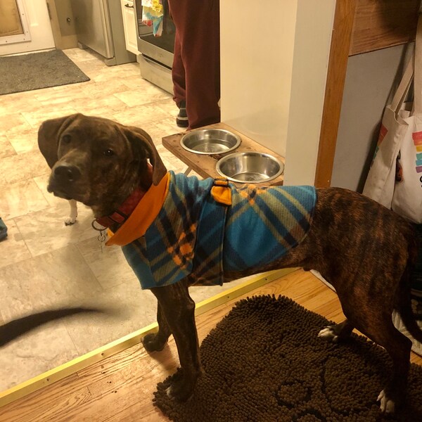 Medium Dog Shirt Coat Digital Sewing Pattern PDF, Dog Jacket Sewing ...