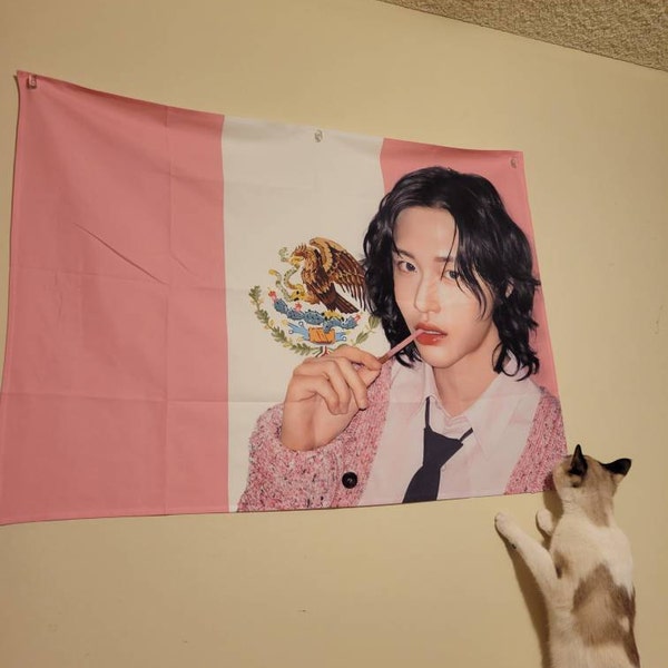 Riize Wonbin Pink Mexico Flag Banner, Riize Members Kpop Flag, 119 ...