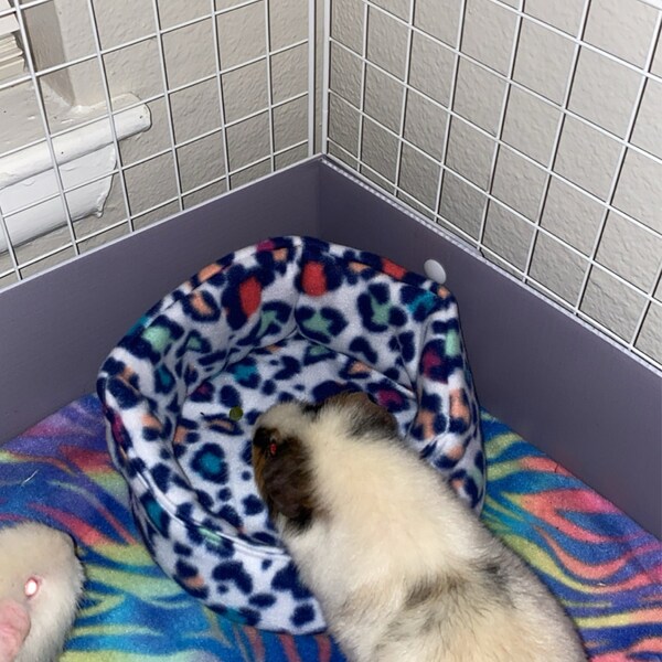 Cozy Cuddle Cube 10 for Guinea Pig and Small Animals - Etsy